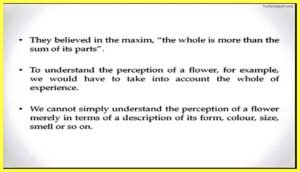 A Brief History Of Cognitive Psychology Theory Pdf (Part-2) (8 ...
