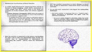 Research-Methods-in-Cognitive-Psychology » SachinAcademy.in