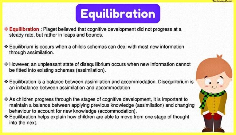 Equilibration-in-Piaget-Theory-of-Development » SachinAcademy.in