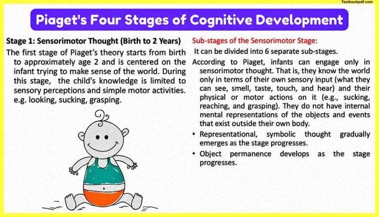 Piaget-sensorimotor-stage-of-cognitive-development » SachinAcademy.in