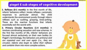 Piaget-Substages-of-Cognitive-Development » SachinAcademy.in