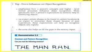Theories-of-Object-Recognition-Psychology » SachinAcademy.in