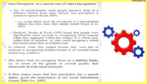 Face-perception-Theories-of-Object-Recognition-Psychology ...