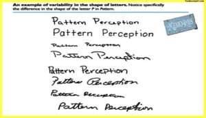 PATTERN-Theories-of-Object-Recognition-Psychology » SachinAcademy.in