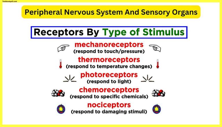Peripheral Nervous System And Sensory Organs » SachinAcademy.in