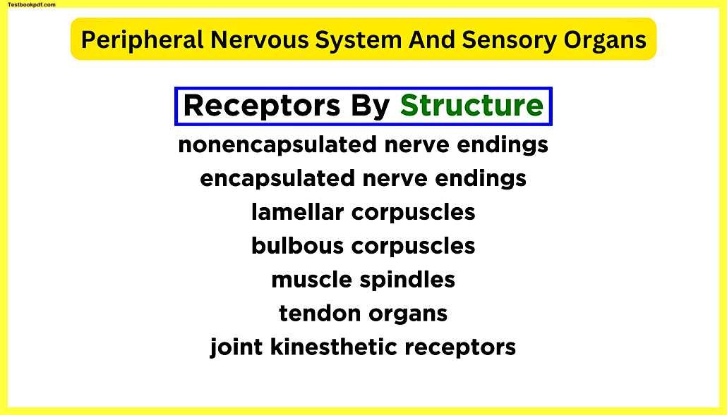 Peripheral Nervous System And Sensory Organs » SachinAcademy.in