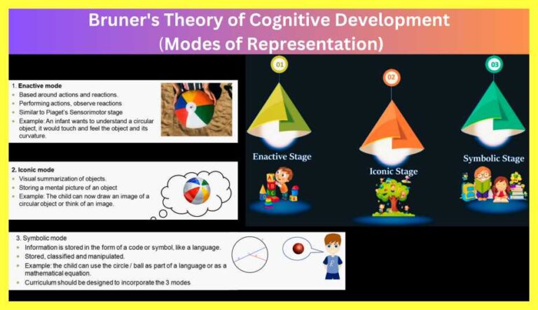Jerome Bruner Notes In Hindi Pdf Download (Complete Theory)