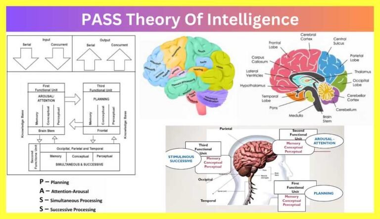 PASS Theory Of Intelligence Notes In Hindi (PDF Download)