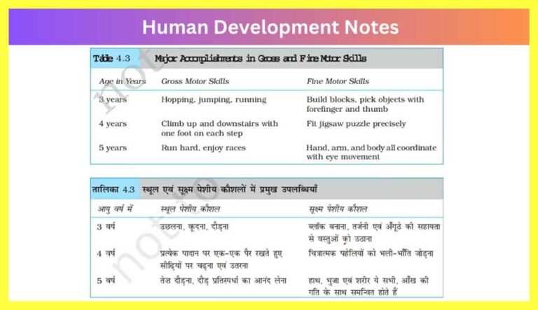 Human Development Notes In Hindi DSSSB Notes Ch4 (PDF)